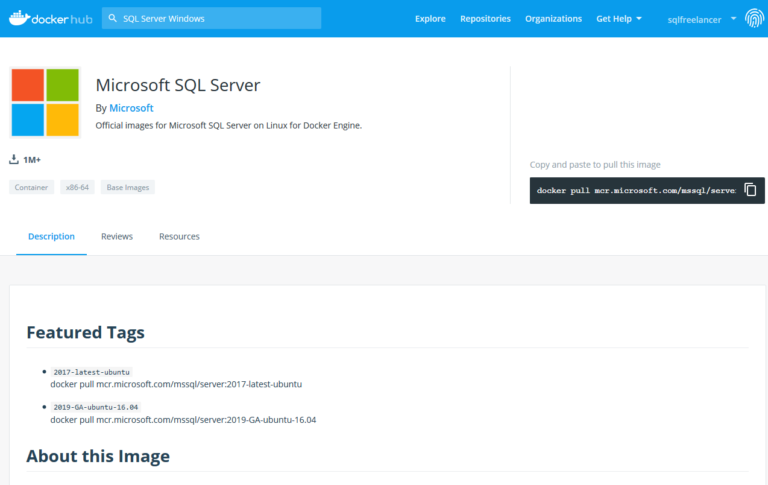 Install Sql Server On Windows 10 Using Docker Sql Freelancer Blog